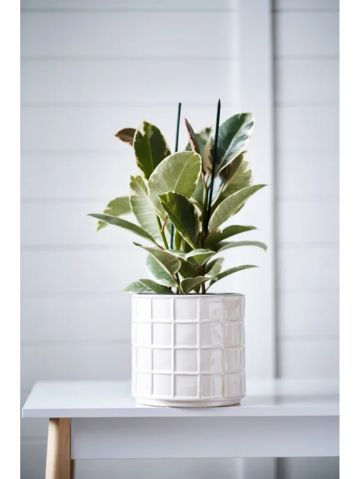 Керамическое кашпо с дренажным отверстием 5л KASHPO_GORSHOK